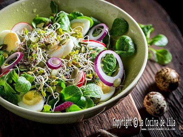 Ensalada de brotes tiernos - La Cocina de Lila