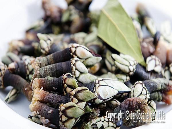 Cómo cocer percebes - La Cocina de Lila